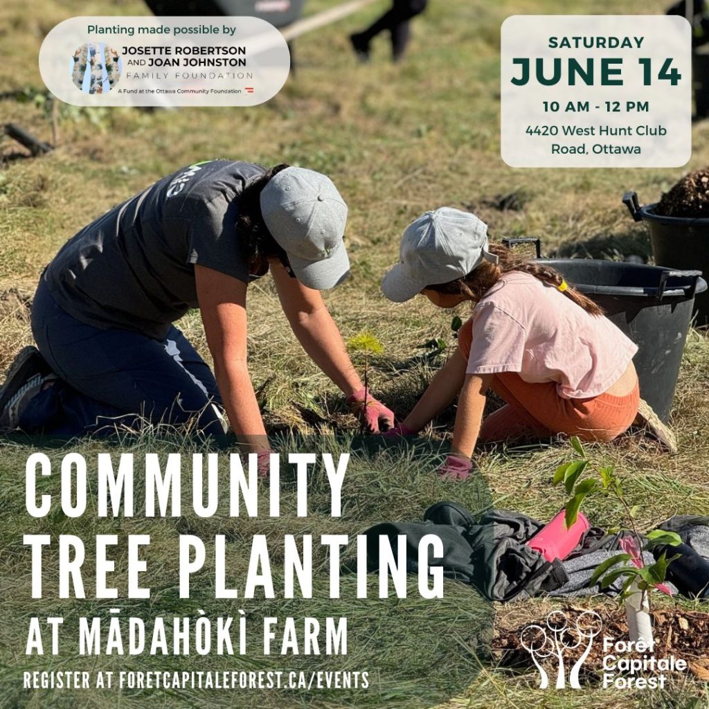 Mādahòkì Farm - Community Tree Planting Event - capitalforest