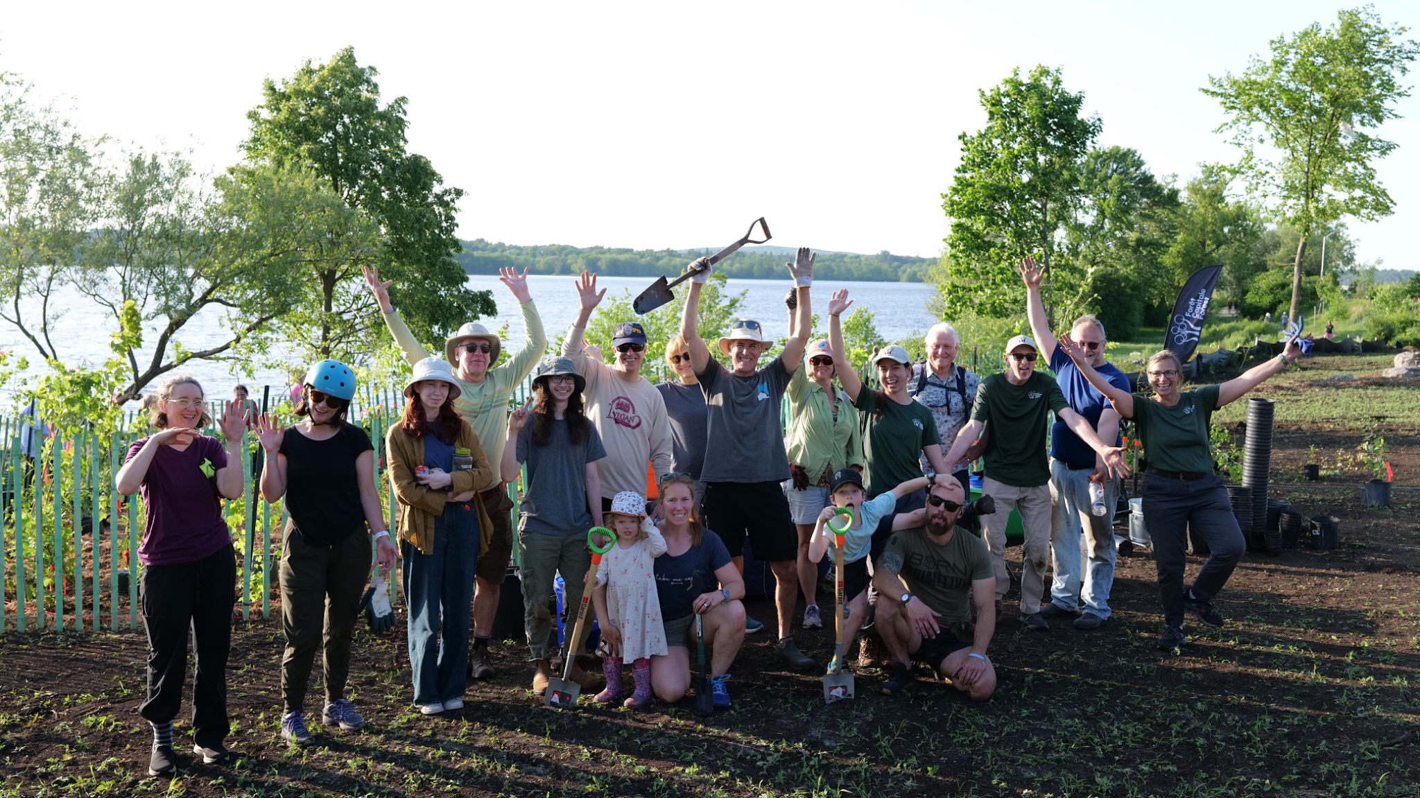 Tiny Forests - capitalforest