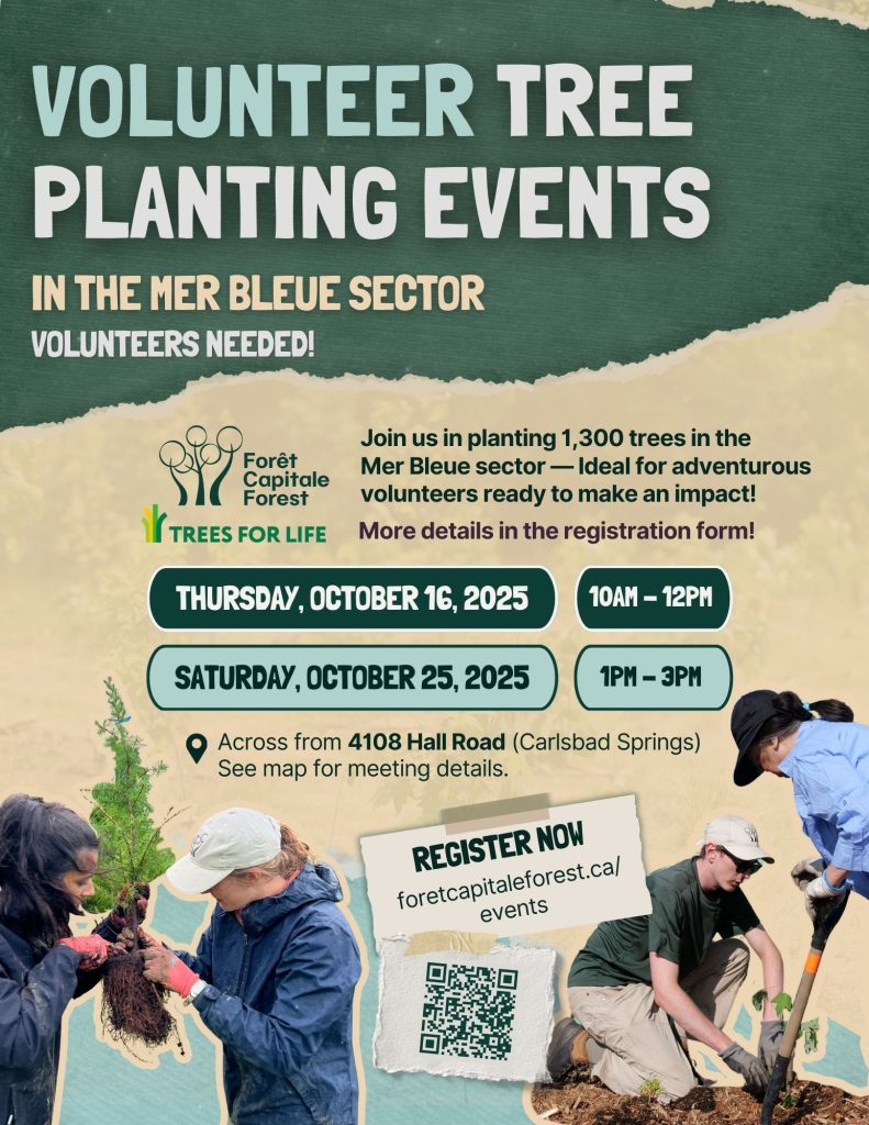 Volunteer Tree Planting Events - Fall 2025 - capitalforest