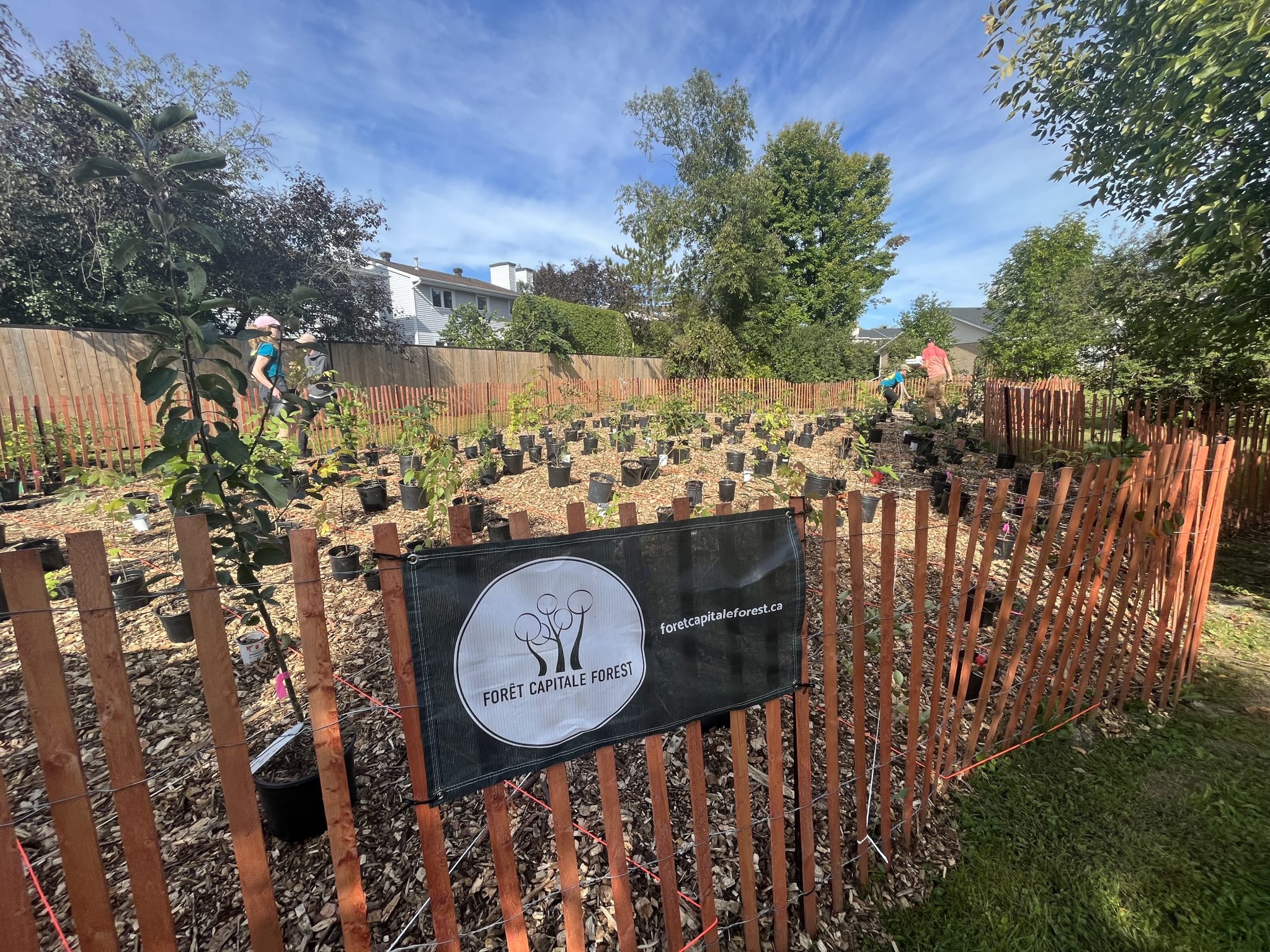 Tiny Forests - capitalforest